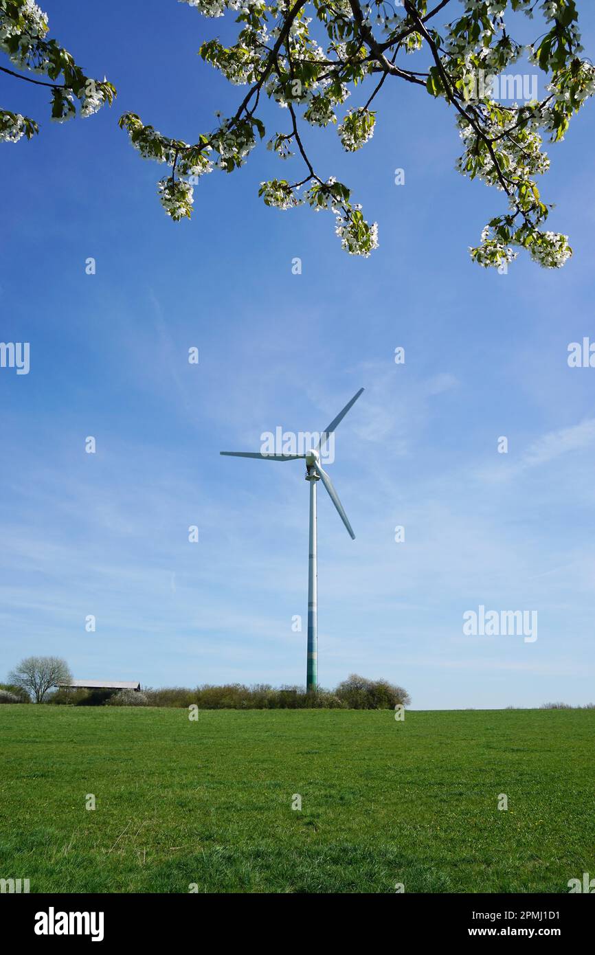 rural landscape with wind turbine and cherry tree blossoms Stock Photo ...
