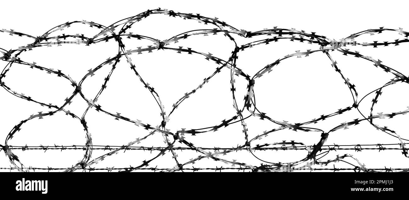 Jail. Prison wall with barbed wire on a white background. Law Stock ...