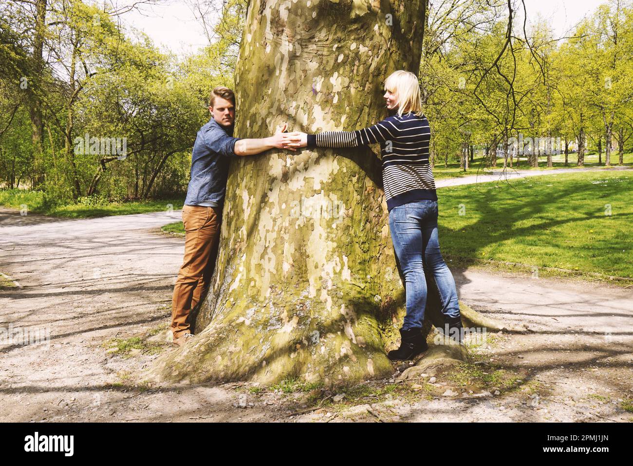 nature loving young couple hugging trunk of large plane tree Stock ...