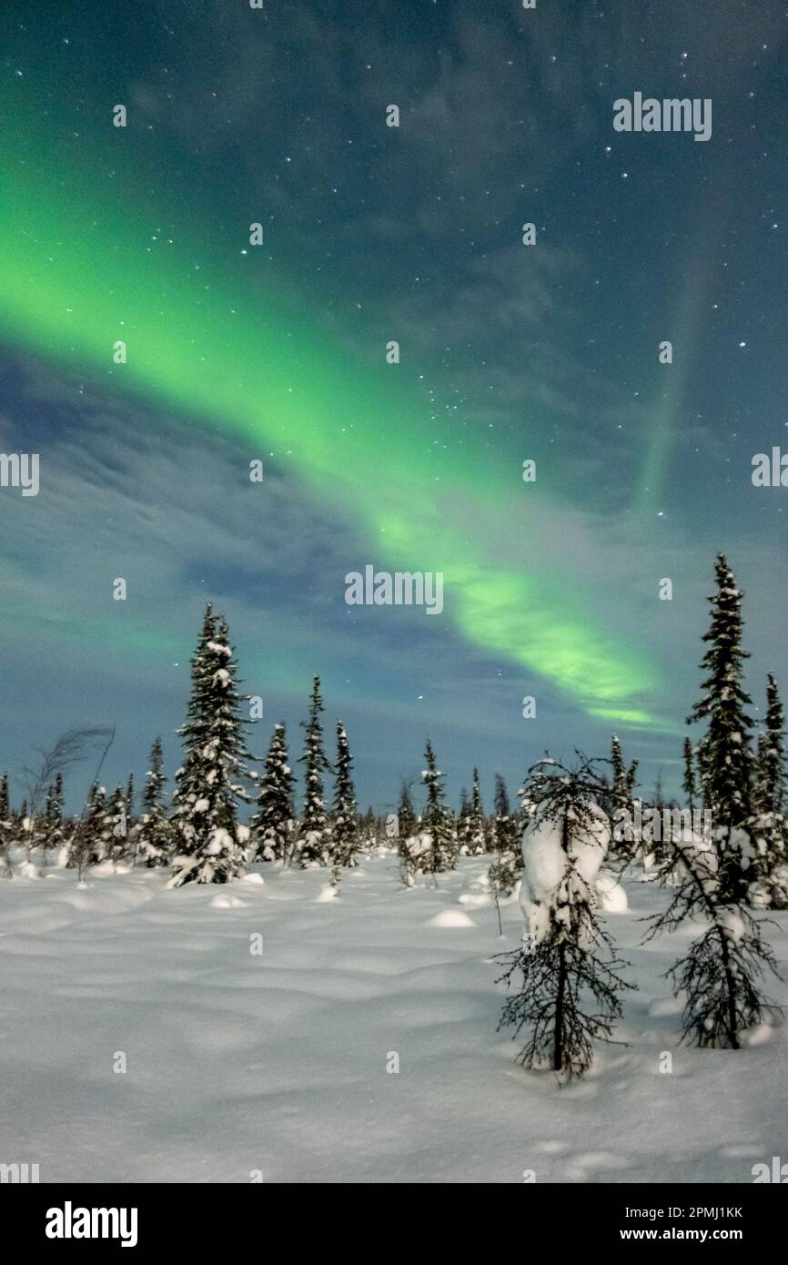 A stunning view of the dark night sky in Fairbanks, Alaska illuminated ...