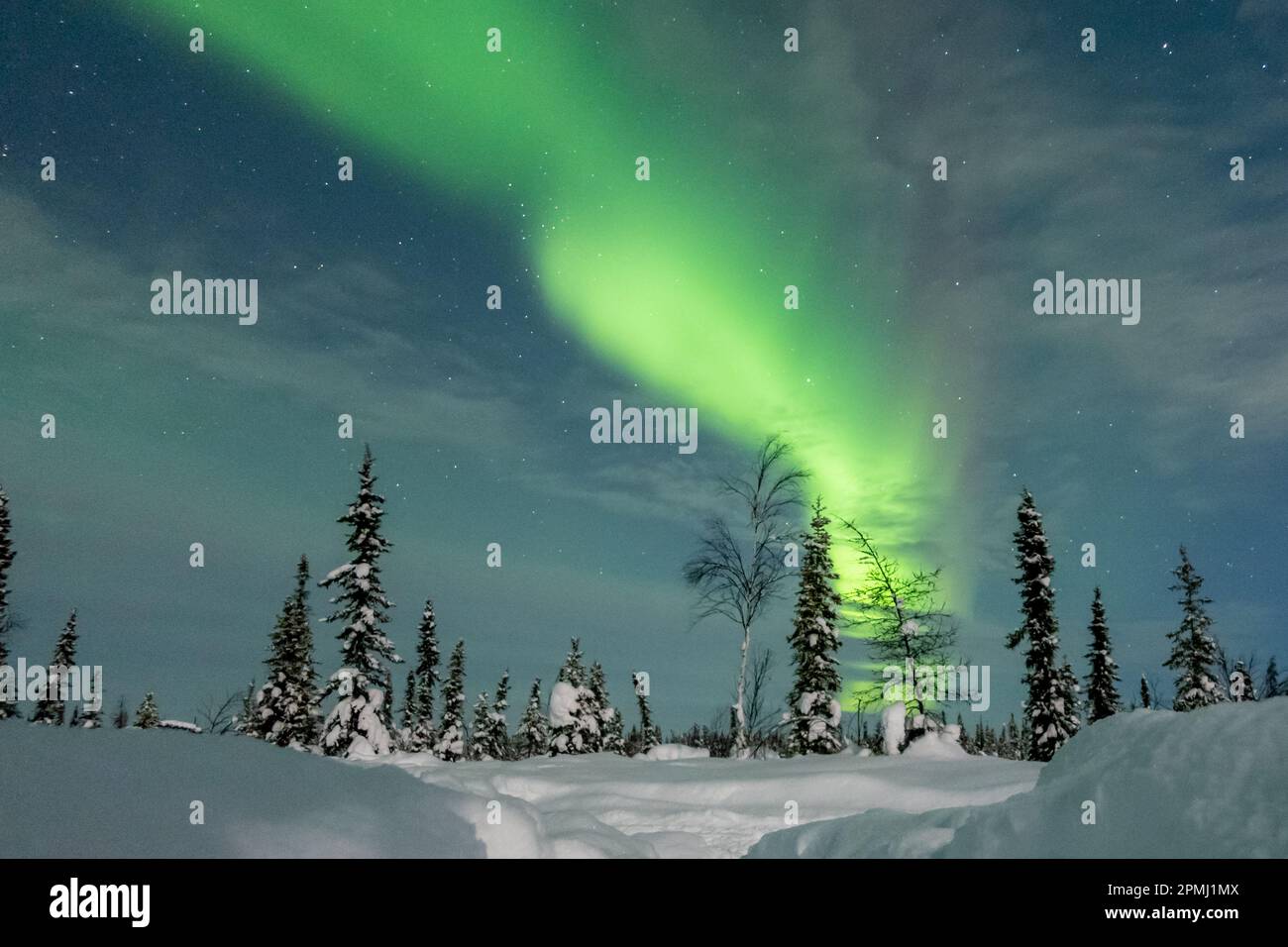 A stunning view of the dark night sky in Fairbanks, Alaska illuminated ...