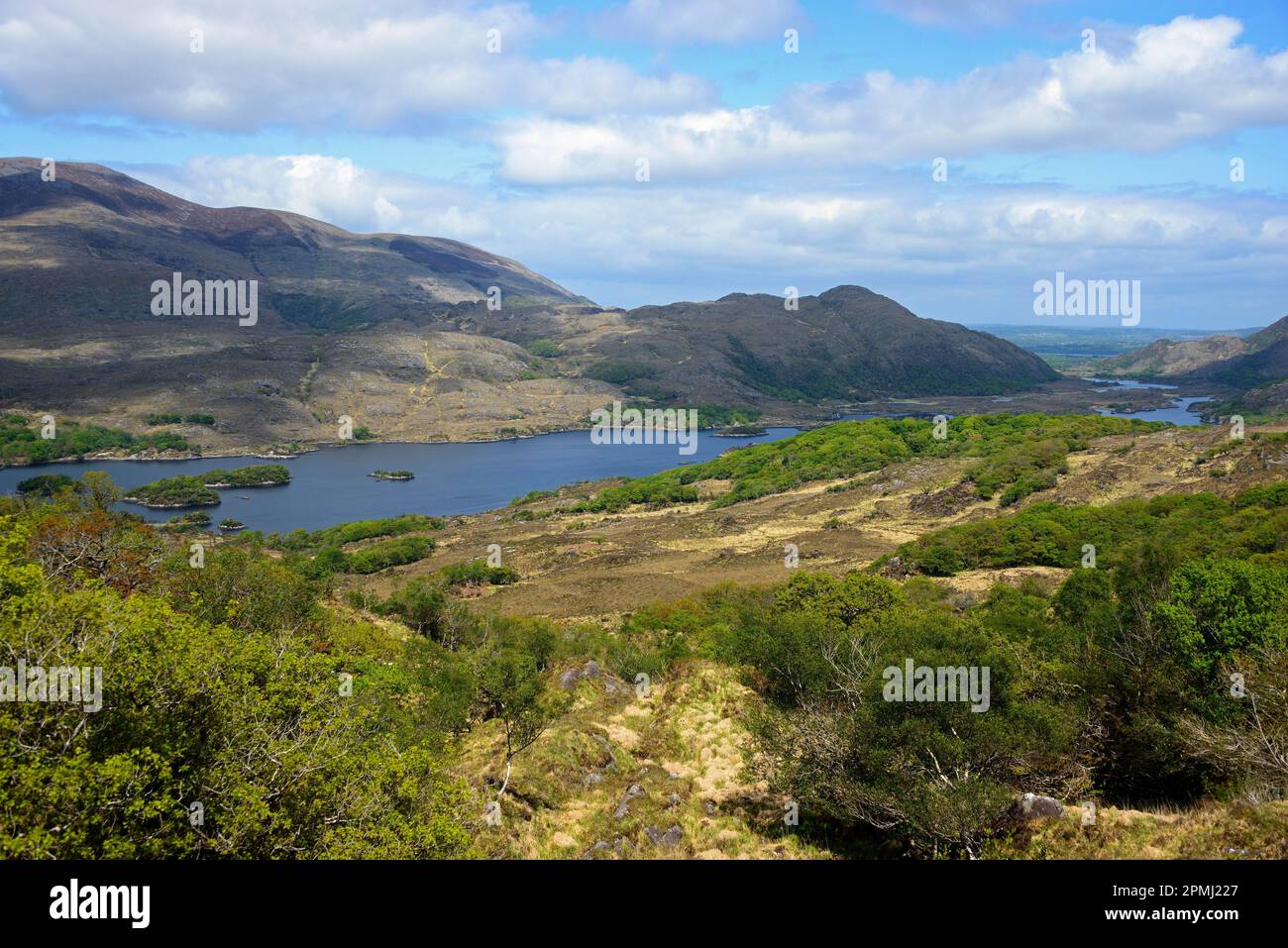 Landscape, Ladies view, Killarney National Park, Ireland, Great Britain ...