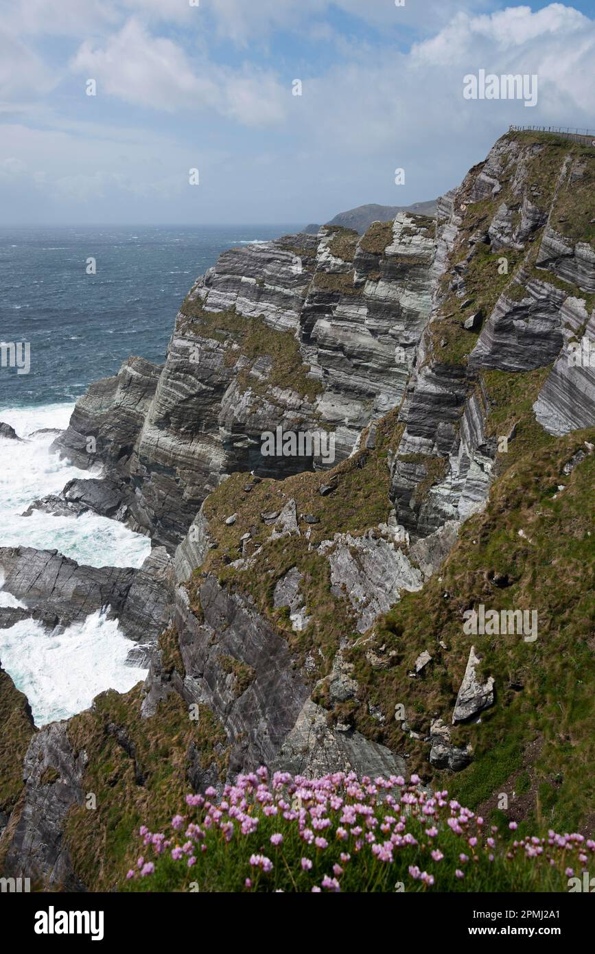 Kerry Cliffs, Portmagee, The Skellig Ring, Ireland Stock Photo - Alamy