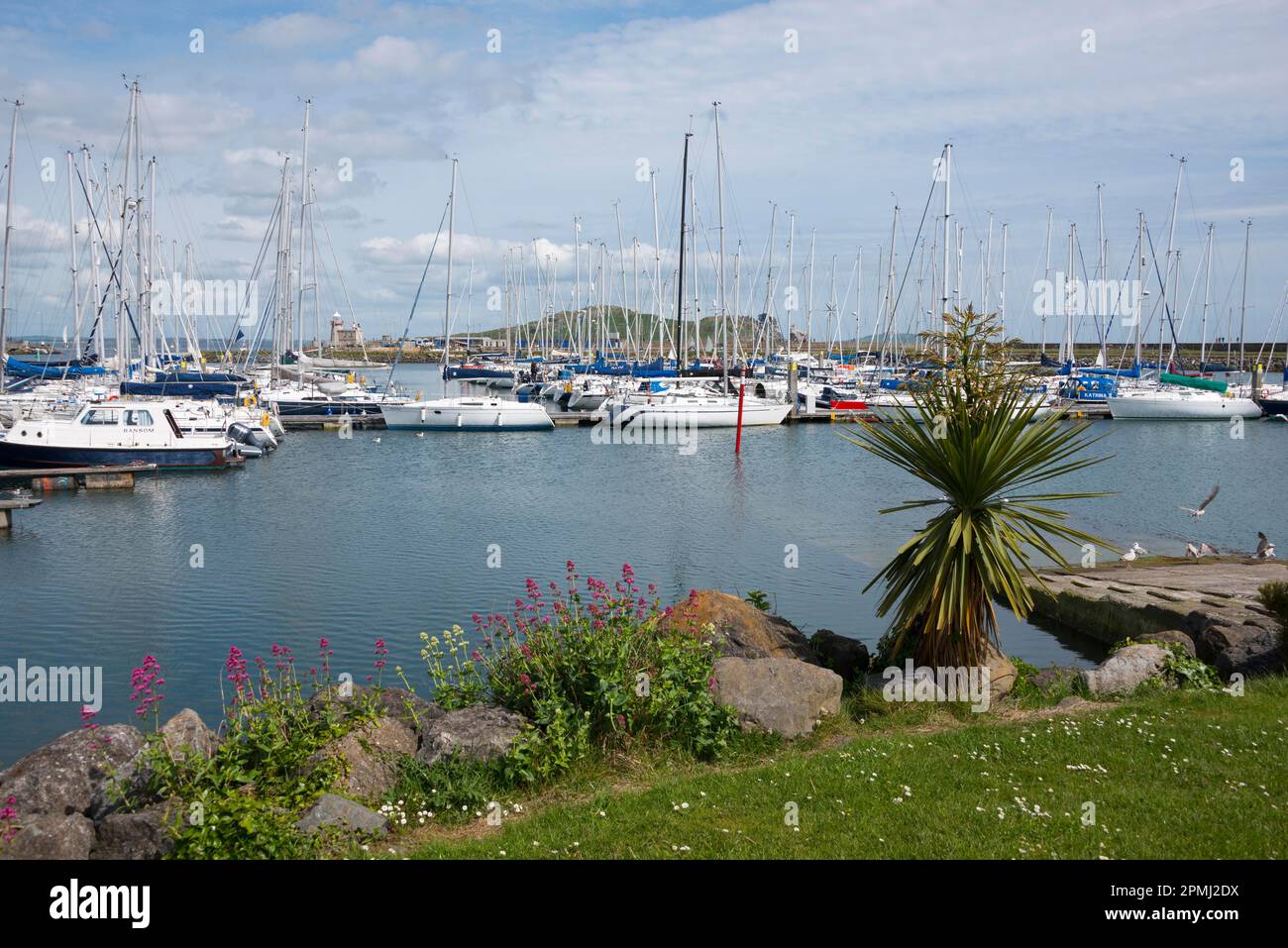 Harbour, Howth, County Fingal, Ireland Stock Photo - Alamy