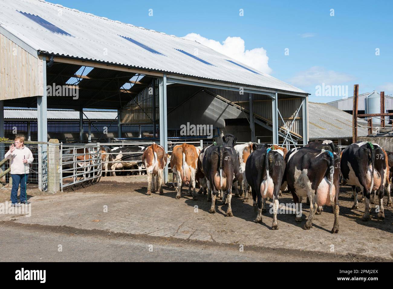 Dairy industry northern ireland hi-res stock photography and images - Alamy