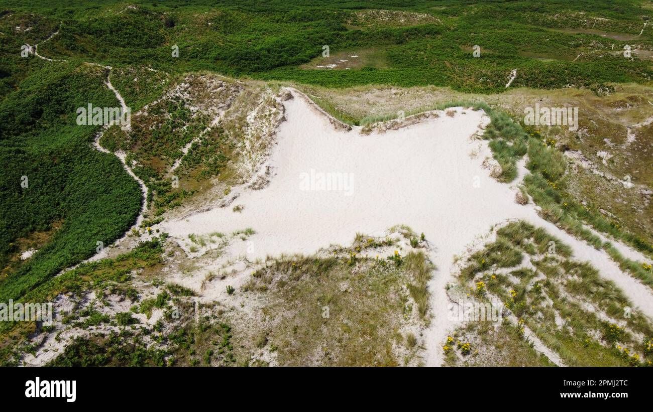 Green plants cover the slopes of sand dunes in summer in Ireland, top ...