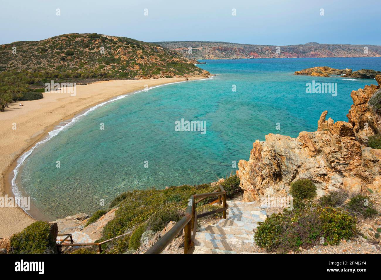 Palm beach of Vai with Cretan (Phoenix theophrasti) Date Palms, Crete ...