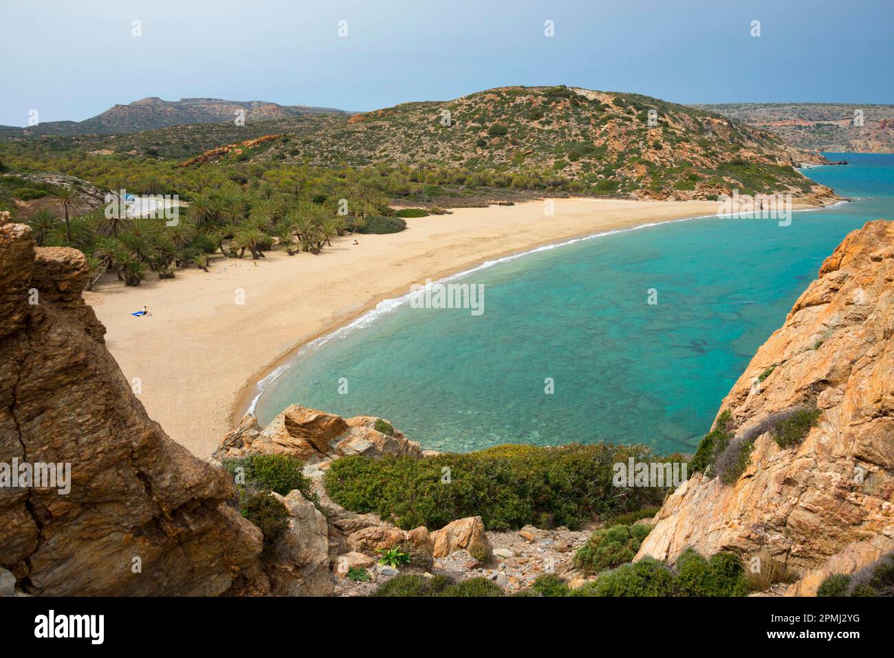 Palm beach of Vai with Cretan cretan date palm (Phoenix theophrasti ...