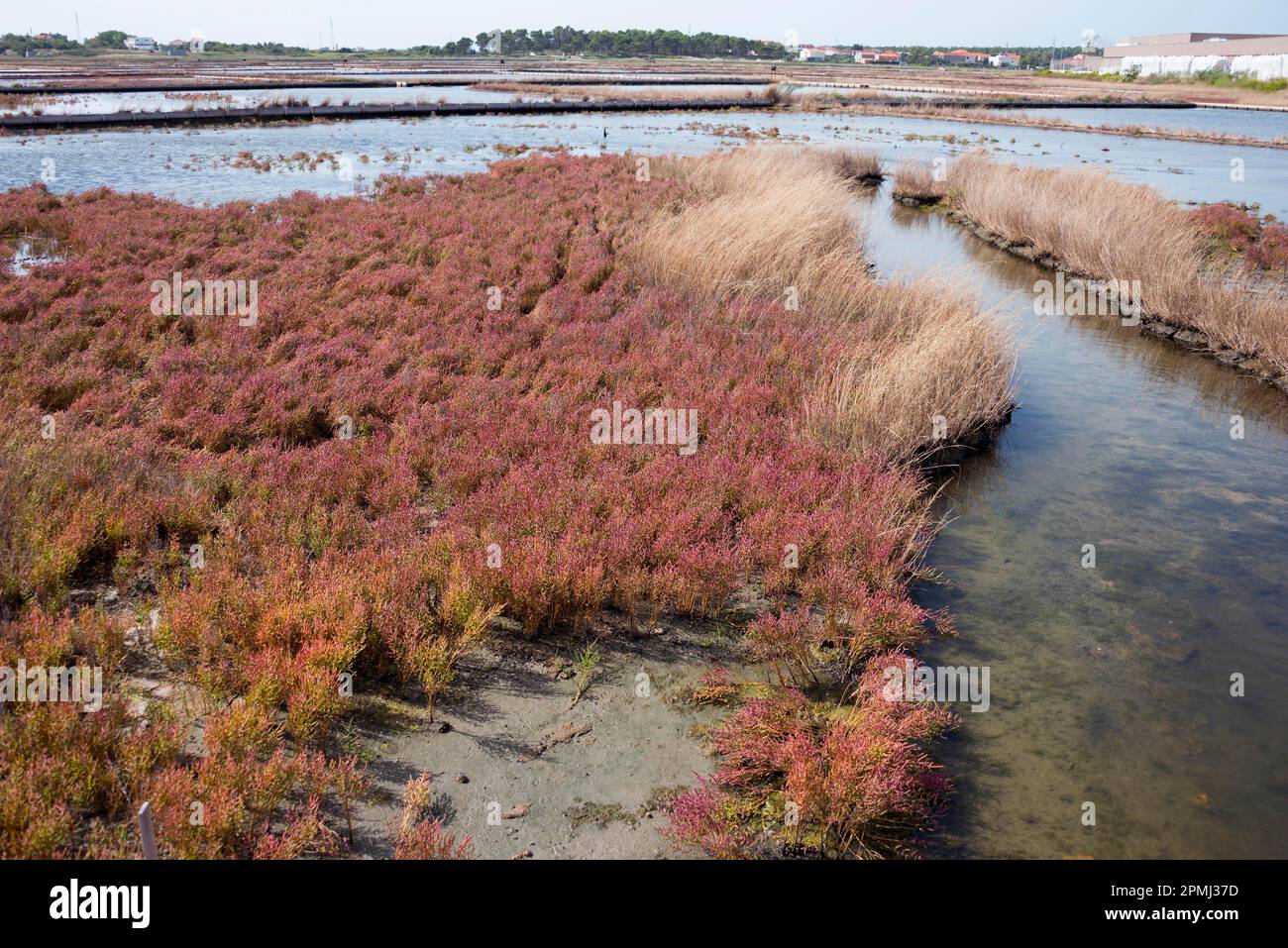 Salt field, old salt town Nin, Croatia Stock Photo - Alamy