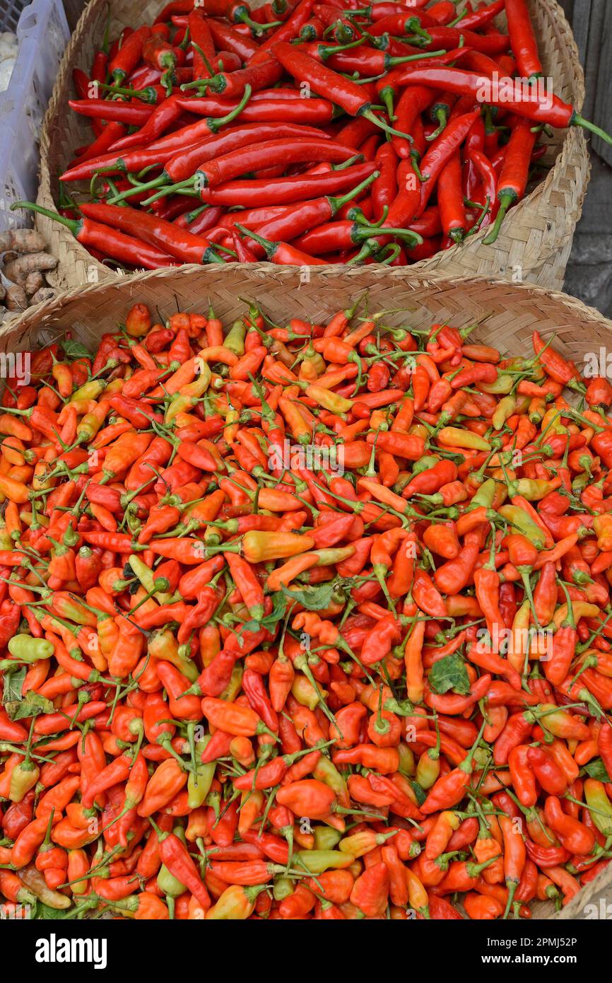 Different varieties of red chilli peppers (Capsicum) at a market in ...
