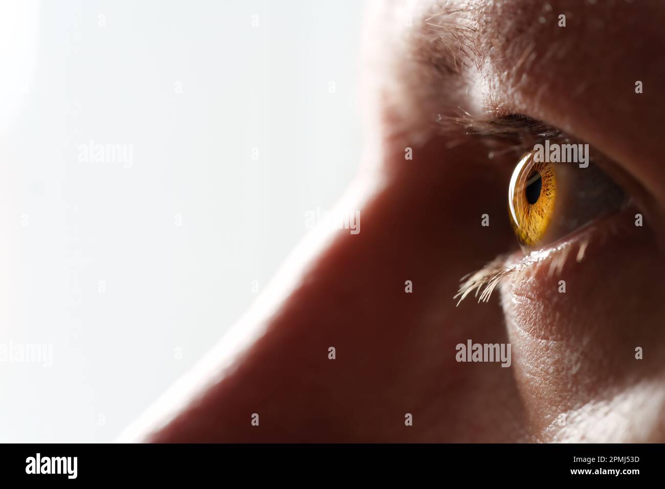 Detail of a surprised human eye, visible iris, man, colours, flash on ...