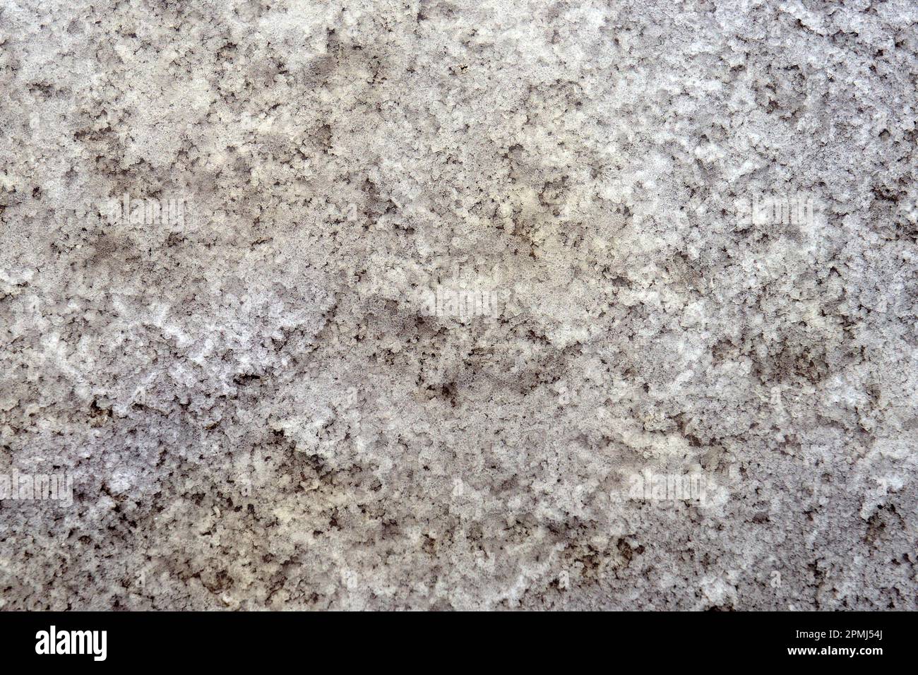 Crystallised sea salt, the so-called Fleur de Sel, North Bali, Bali ...