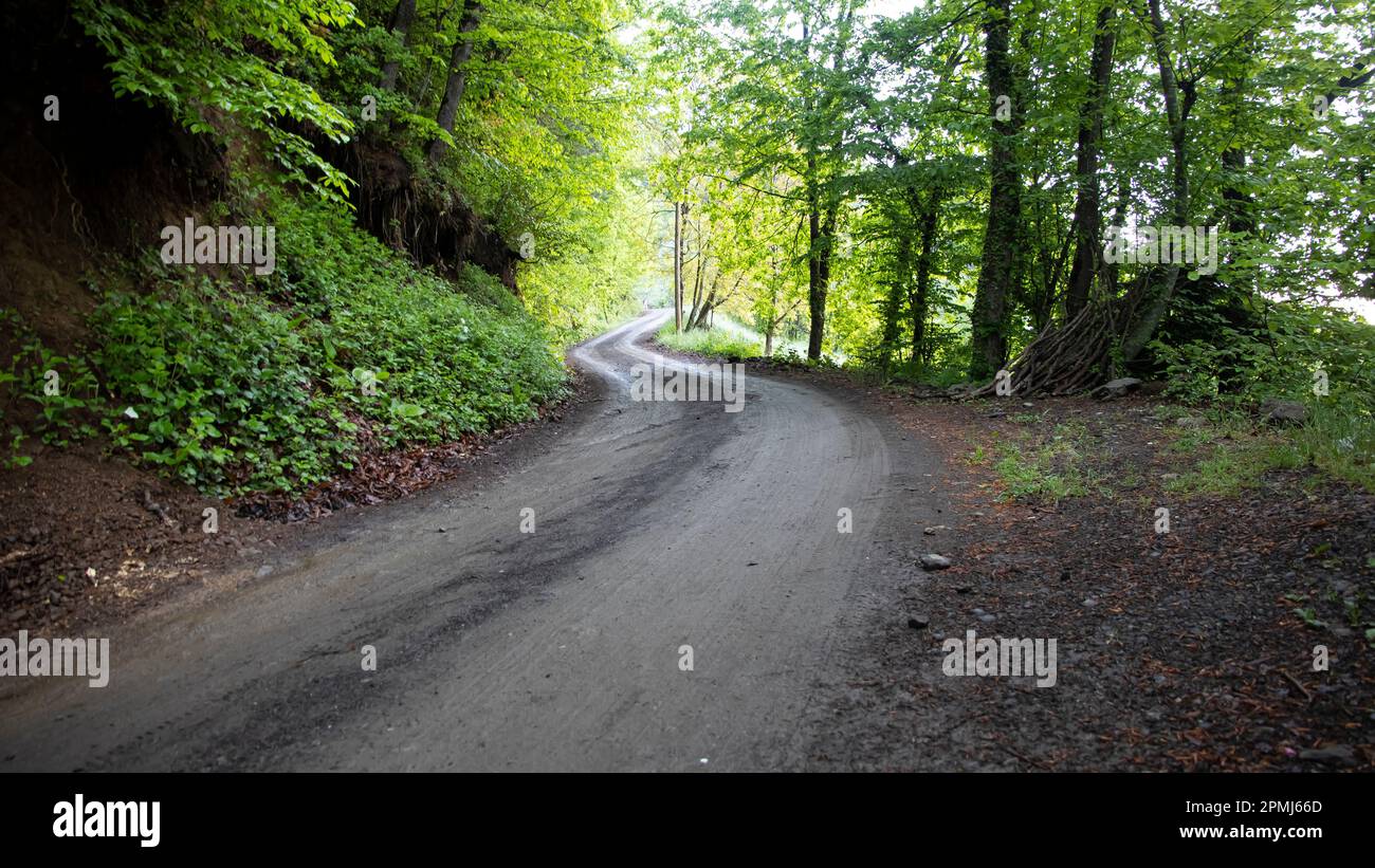 With the arrival of spring, this winding road in the village has become ...