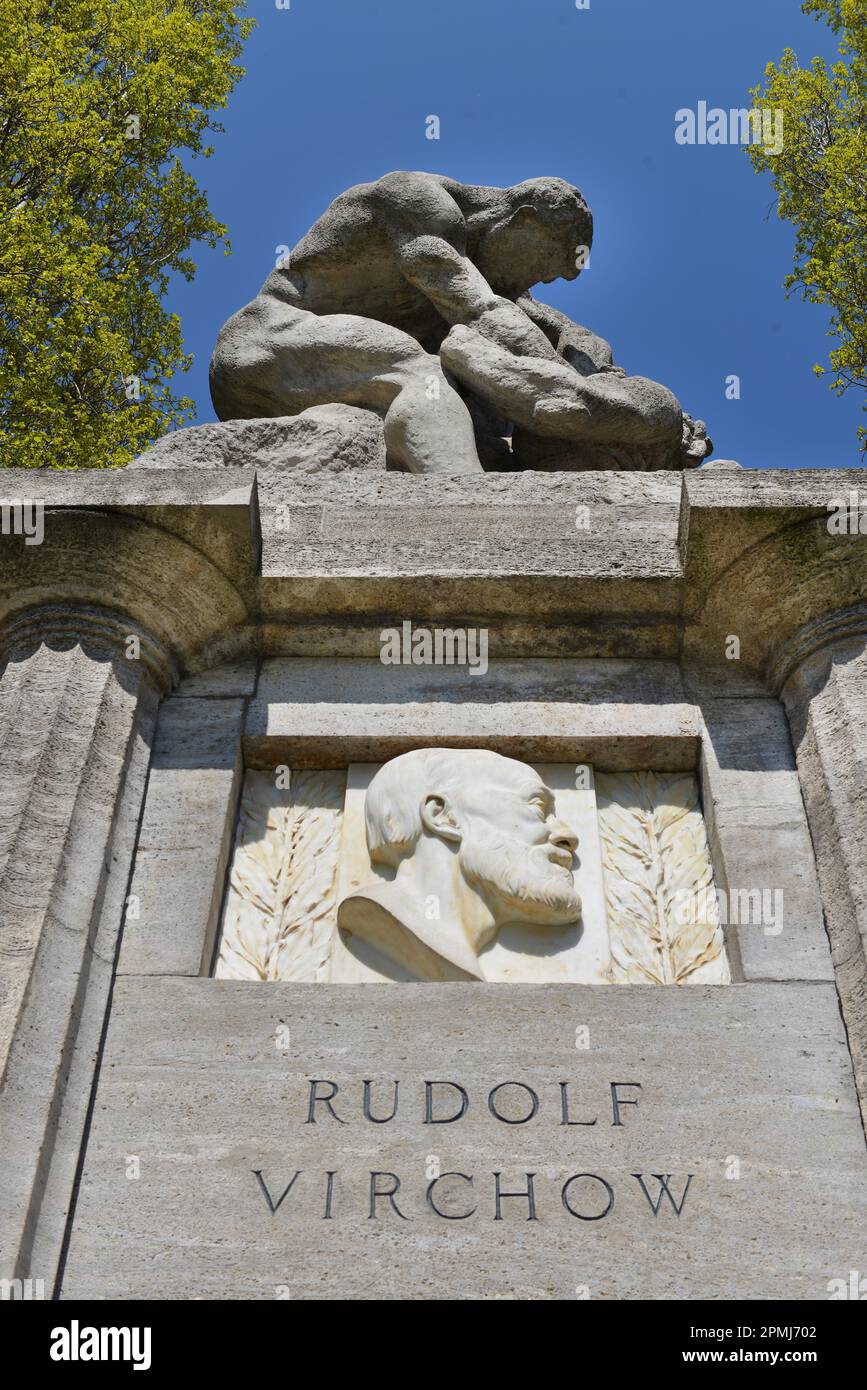 Monument, Rudolf Virchow, Karlplatz, Mitte, Berlin, Germany Stock Photo ...