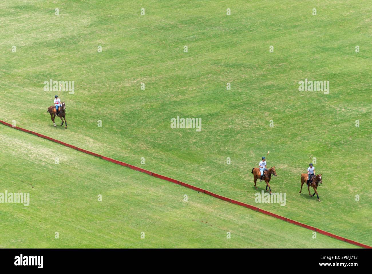 Three polo players on their horses play in a field on the outskirts of ...