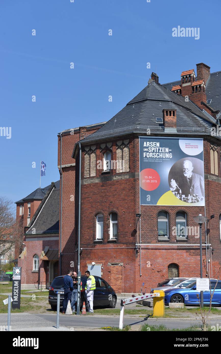 Museum of Medical History, Chariteplatz, Mitte, Berlin, Germany Stock ...