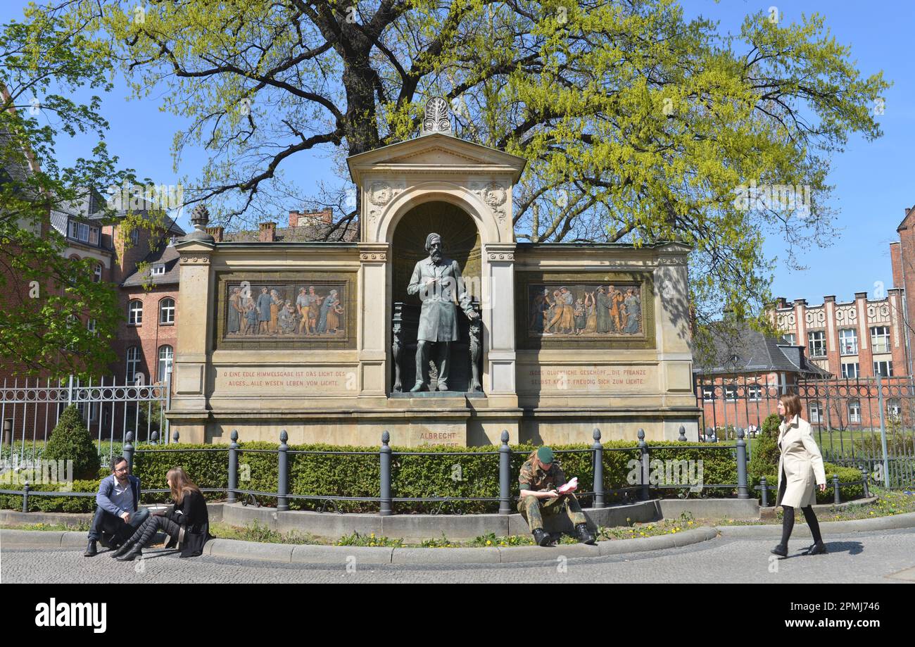 Monument, Albrecht von Graefe, Luisenstrasse, Mitte, Berlin, Germany ...