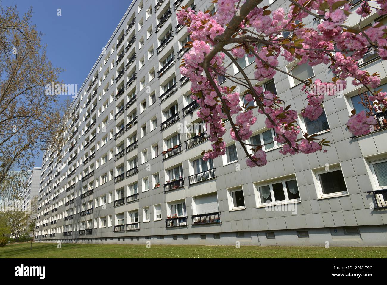 Mollstrasse berlin hi-res stock photography and images - Alamy