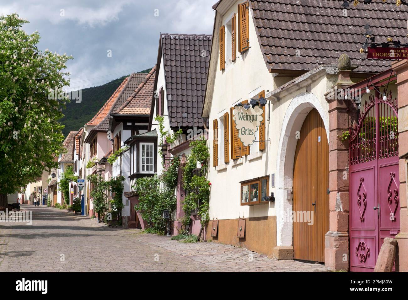 Historic Theresienstrasse in Rhodt unter Rietburg Stock Photo - Alamy