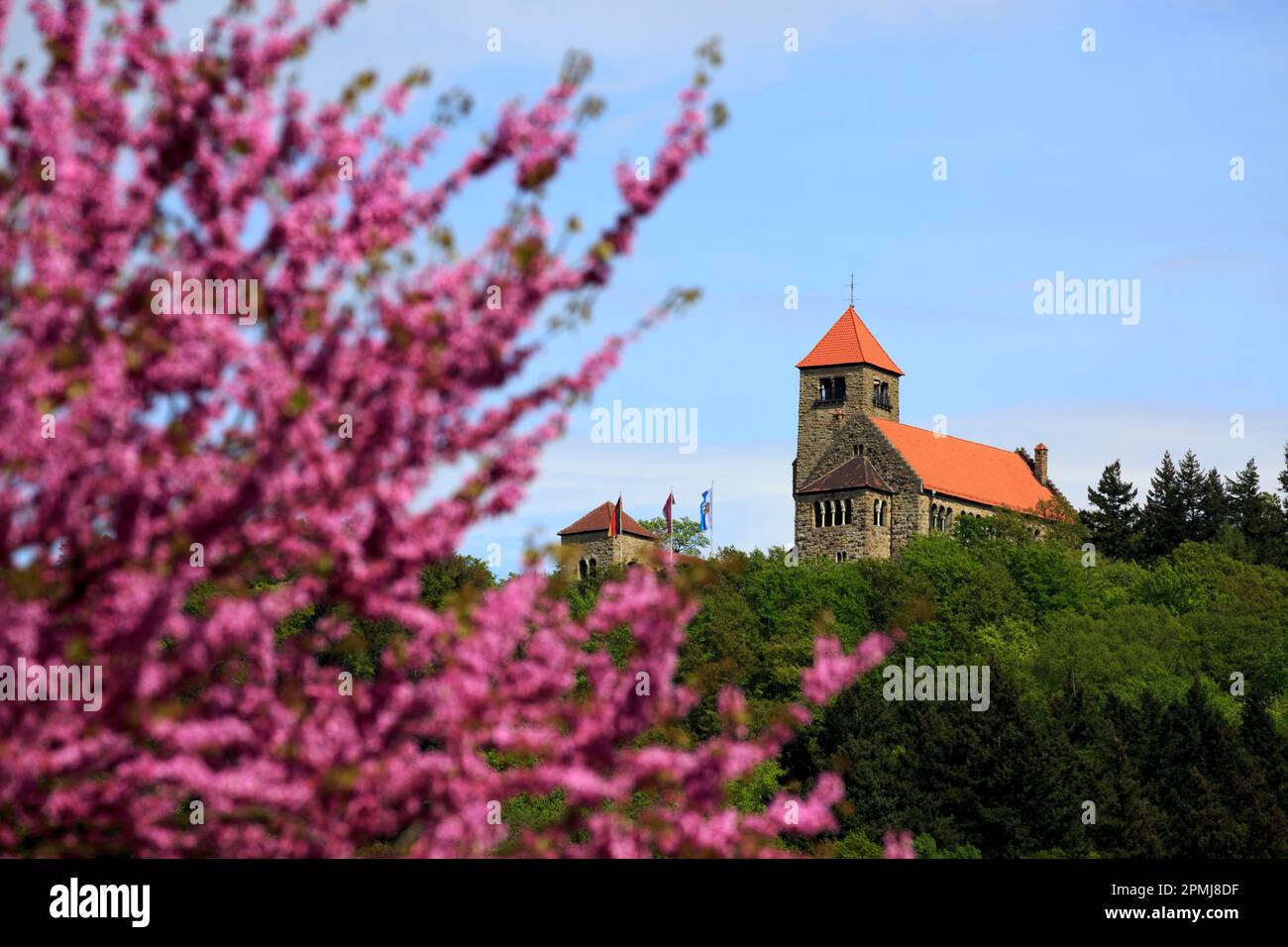 Germany, Baden-Wuerttemberg, Weinheim, Hermannshof, View of the ...