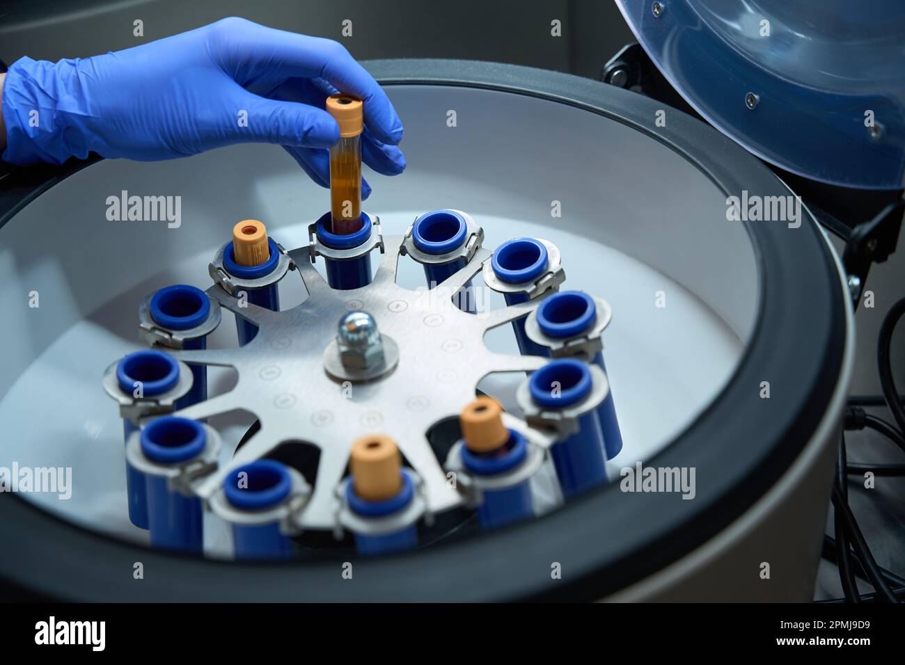 Close-up photo production of plasma from blood in a separator Stock ...