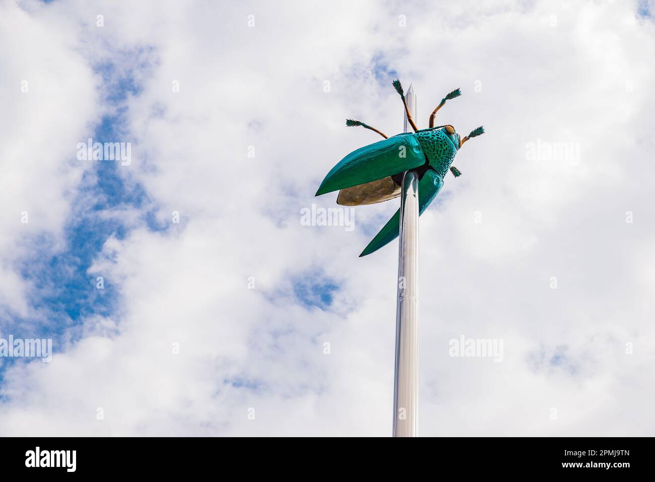Totem, the giant beetle. Leuven, Flemish Community, Flemish Region ...