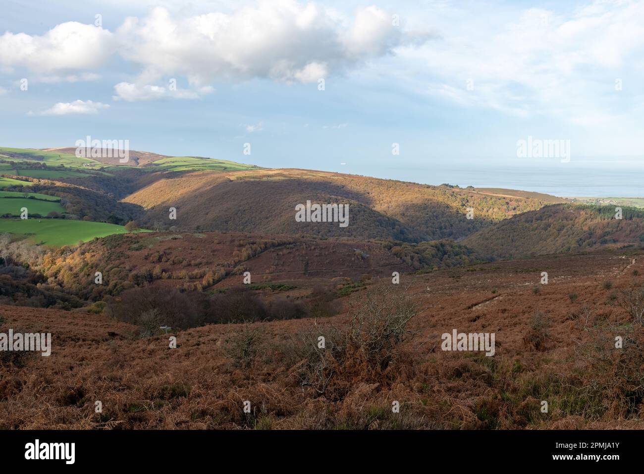 Landscape photo of the autumn colours at Horner woods in Exmoor ...