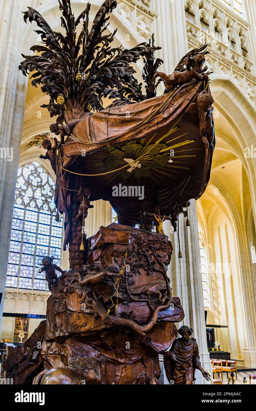 Naturalist pulpit hi-res stock photography and images - Alamy