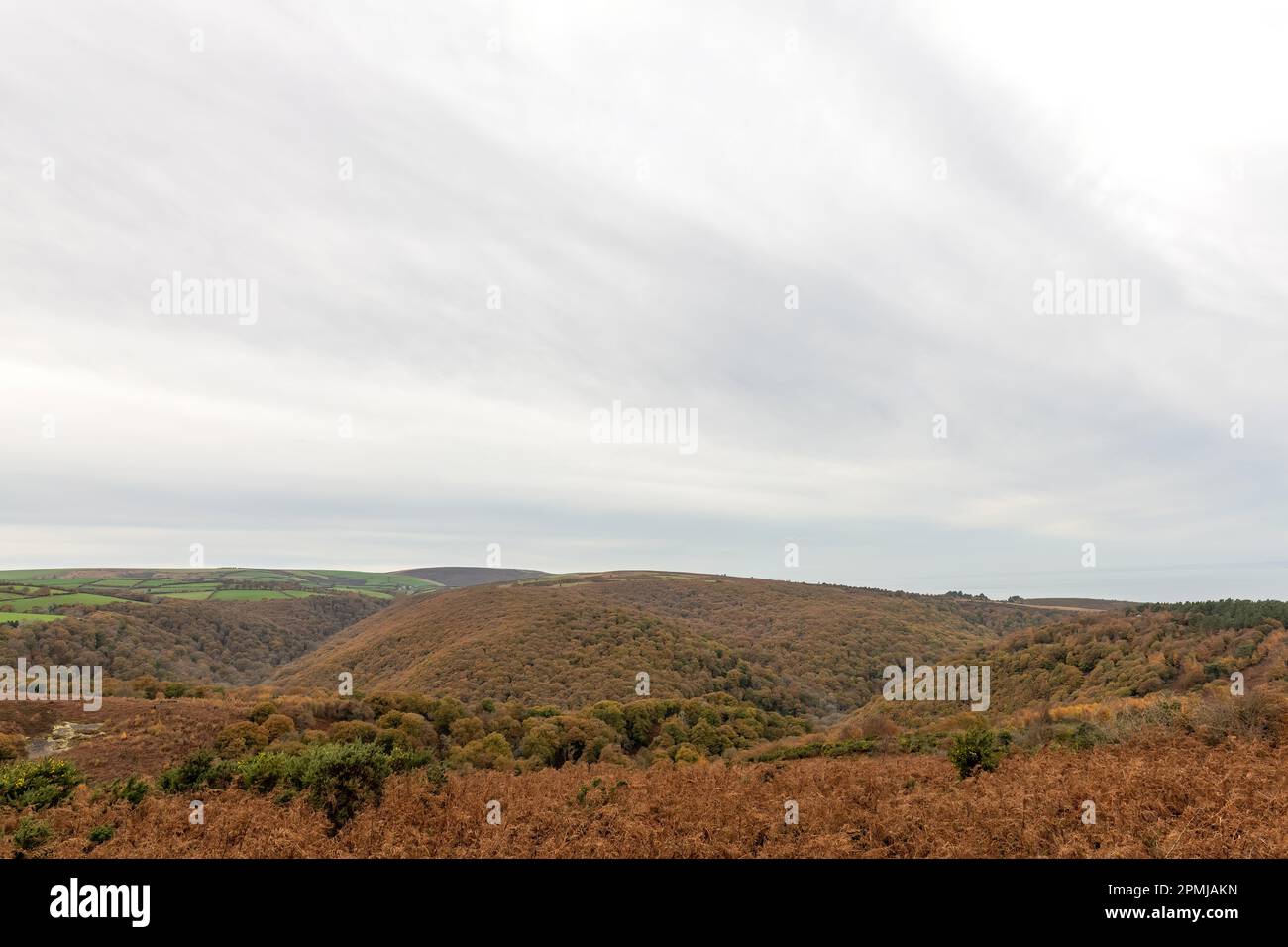 Landscape photo of the autumn colours at Horner woods in Exmoor ...