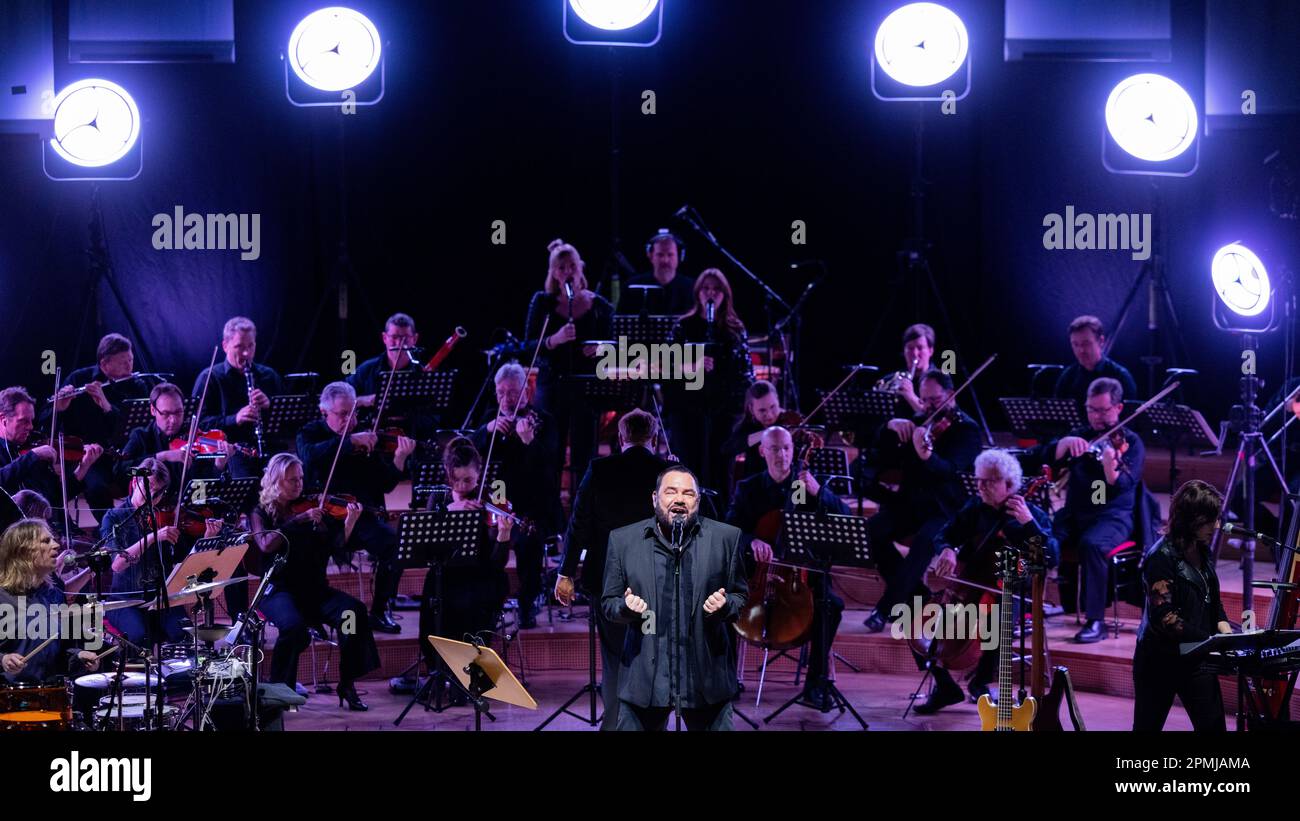 Frontman of band japan hi-res stock photography and images - Alamy