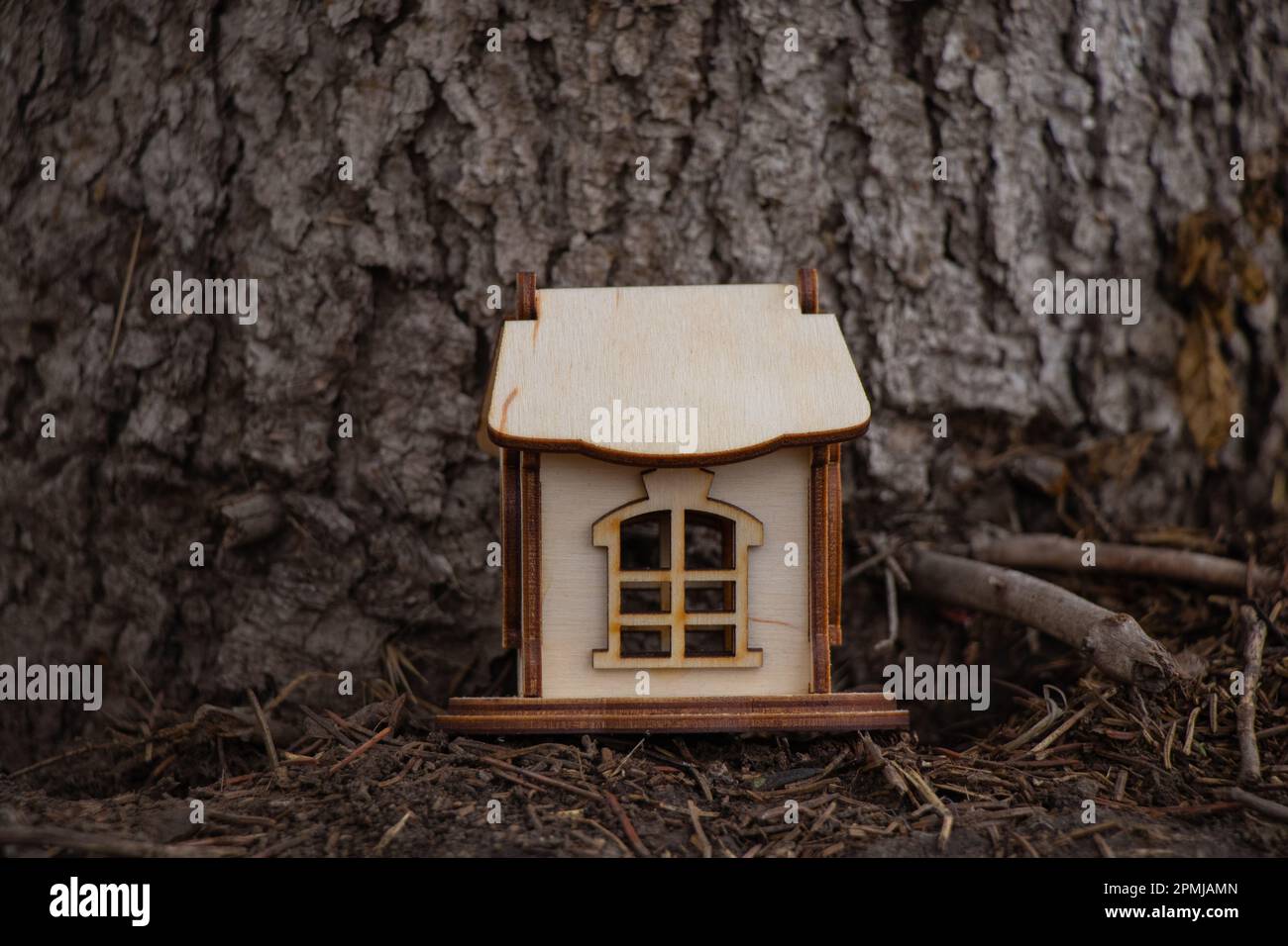 Family tree stands hi-res stock photography and images - Alamy