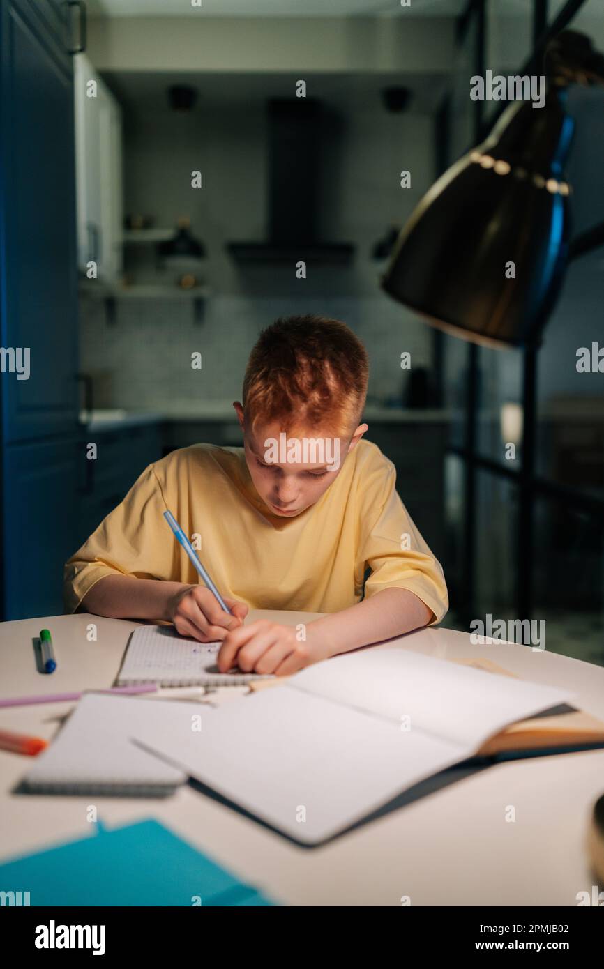 Vertical portrait of pupil student boy studying at home writing in ...
