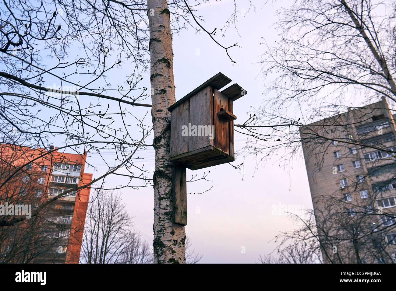 Old birdhouse without birds on a tree in the city Stock Photo - Alamy