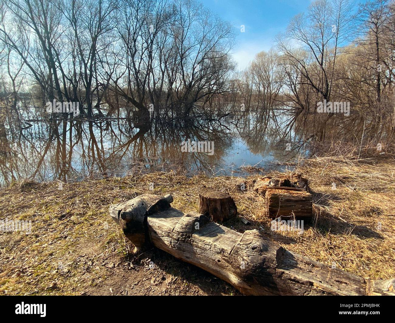 Overflow on the river in spring. Spring scenery Stock Photo - Alamy