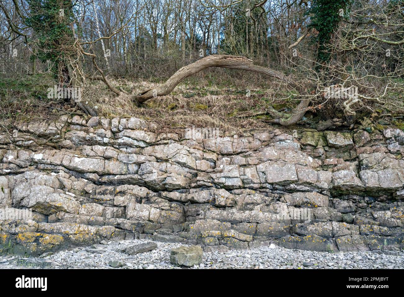 River Kent, Arnside, Cumbria, UK Stock Photo - Alamy