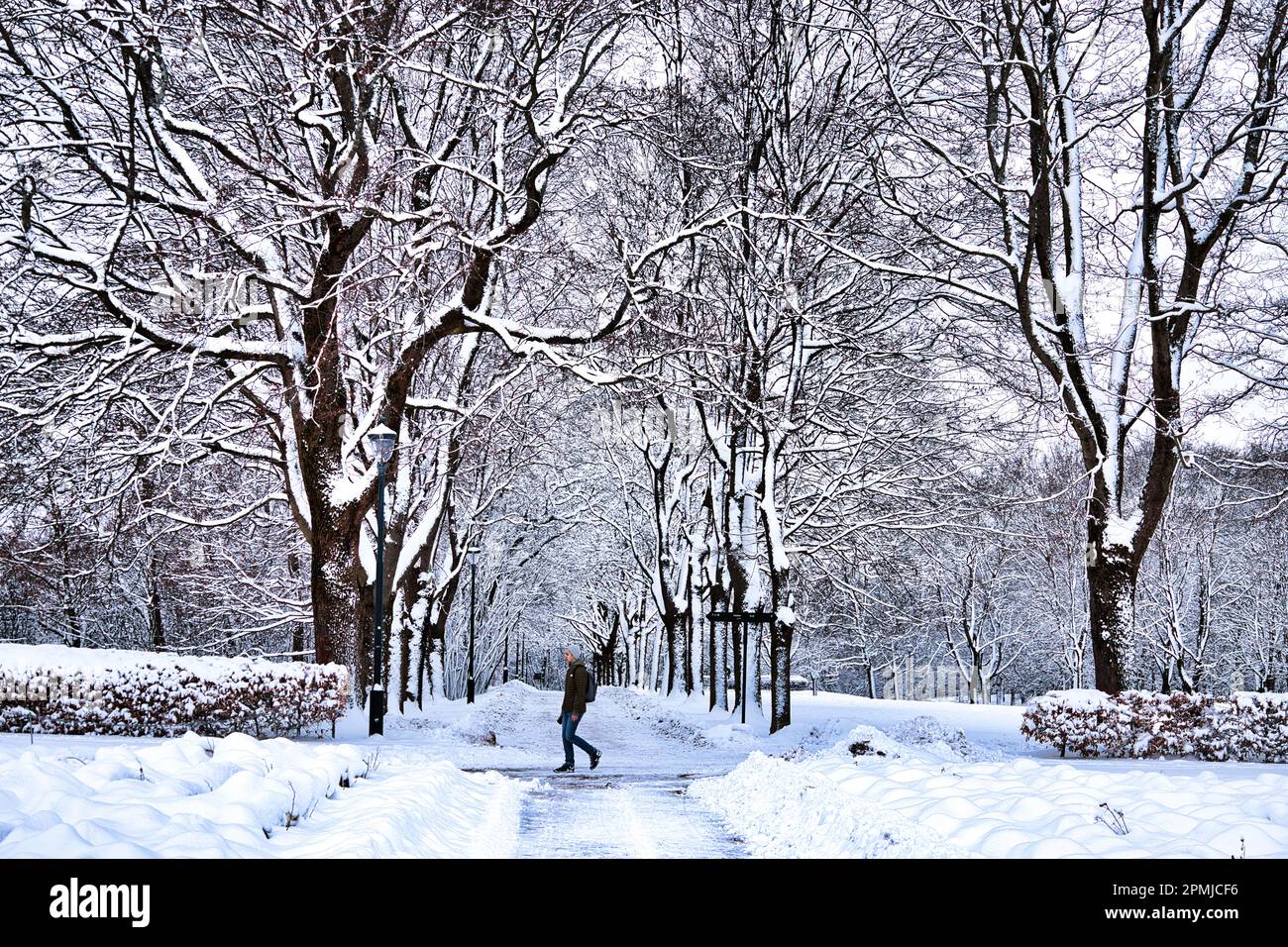 Vigeland Sculpture Park, Oslo, Norway - a person walking past an avenue ...