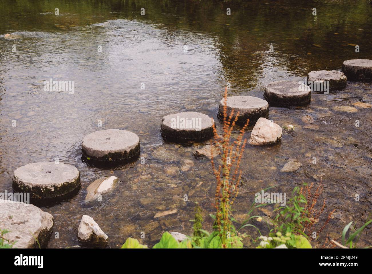 Stone path across the river Stock Photo - Alamy