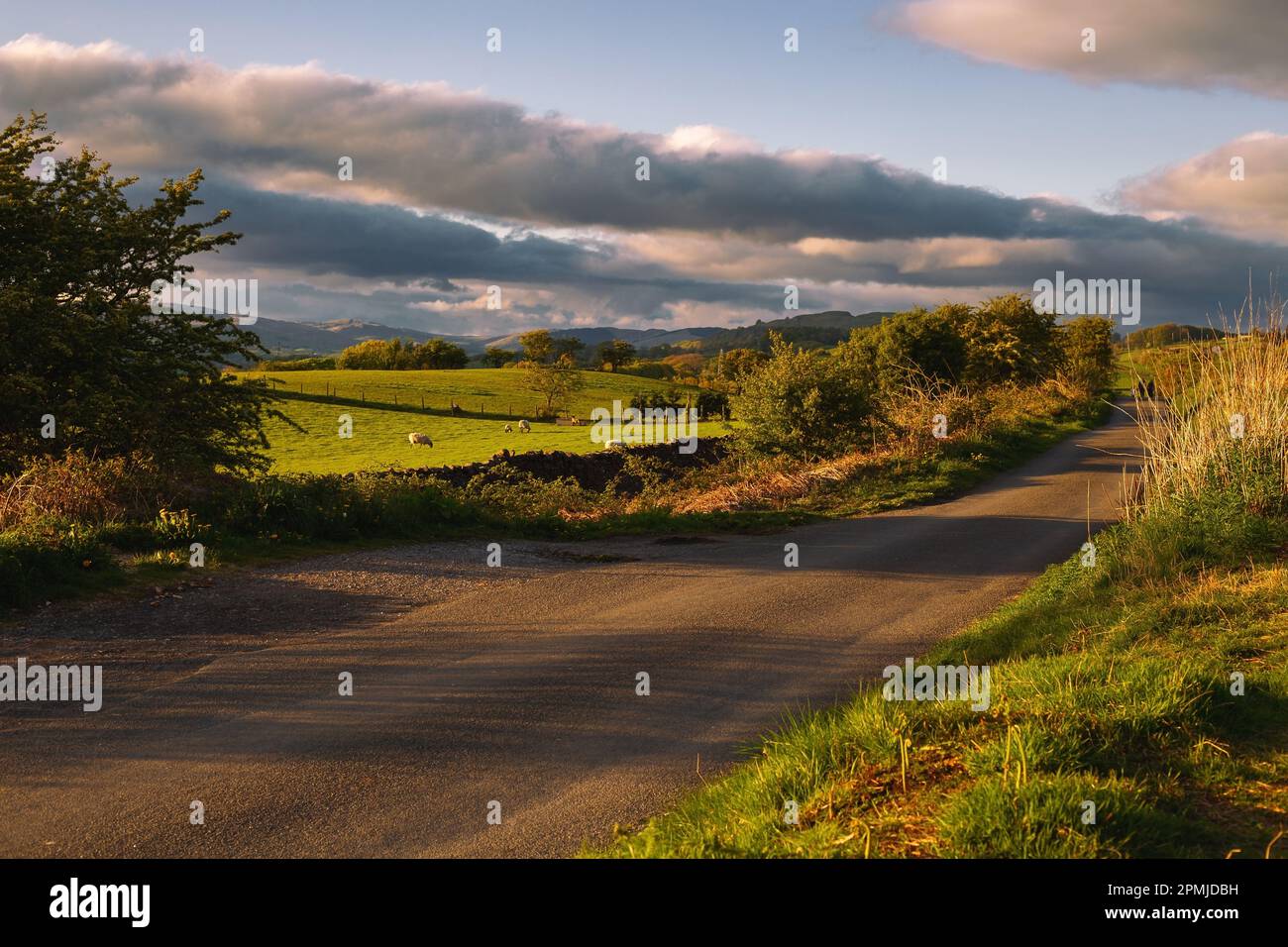 country road rolls across hills and valleys of farmland fields Stock ...
