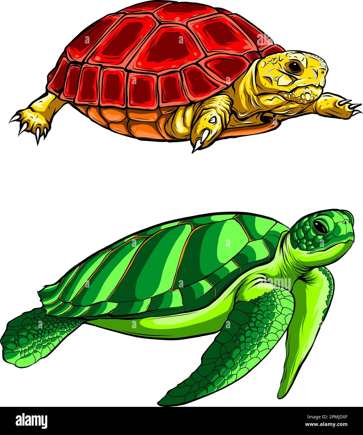 Turtle Drawings Designs