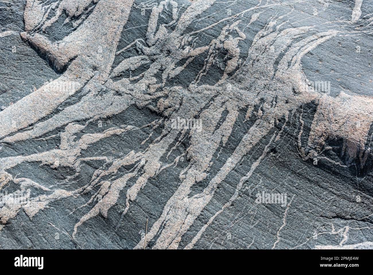 Migmatite hi-res stock photography and images - Alamy