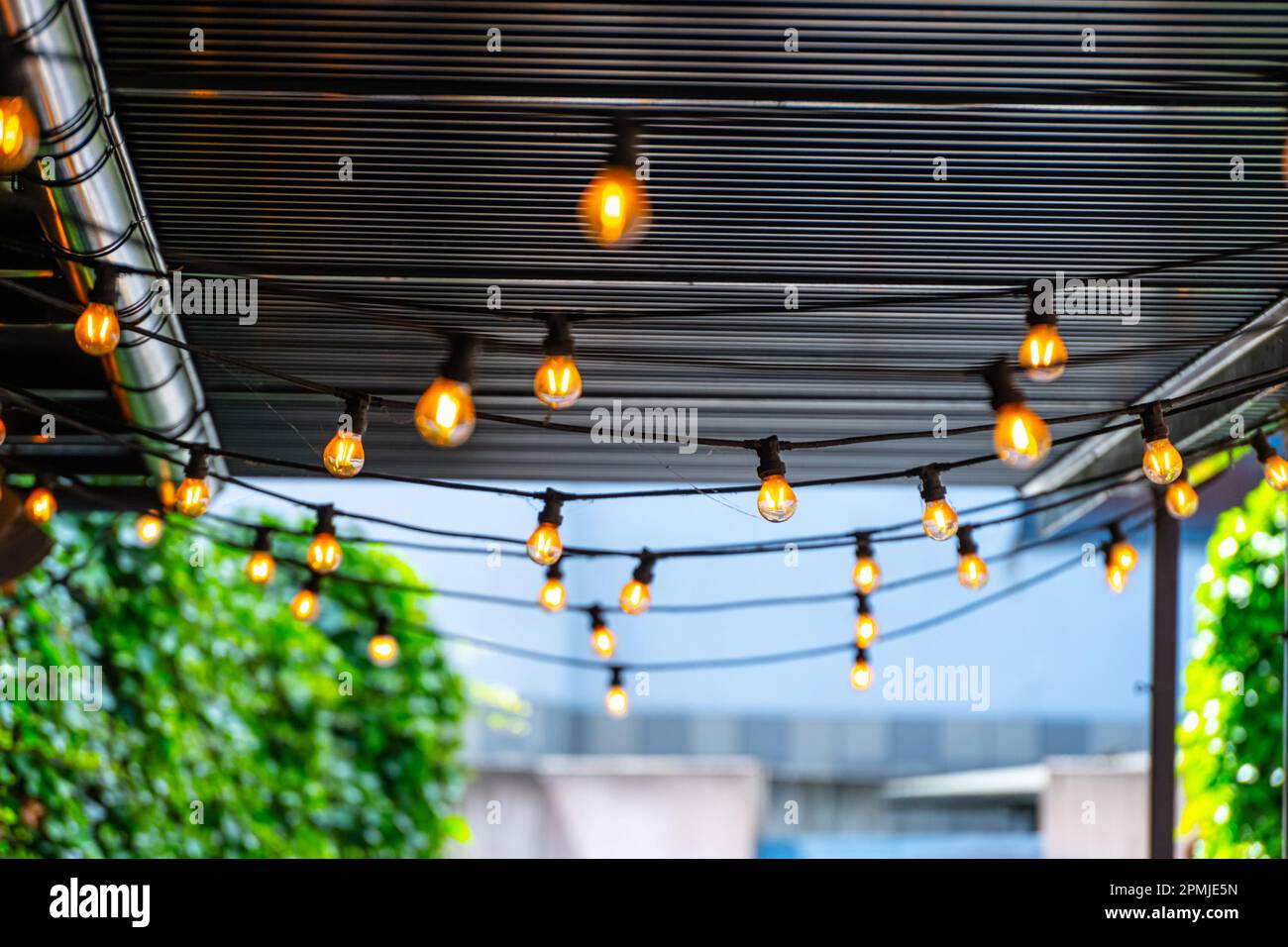 decorative light bulbs hanging from the roof Stock Photo - Alamy