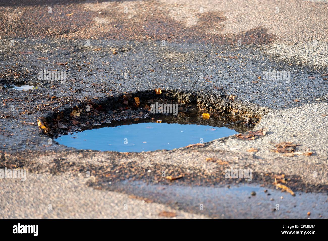Tree filled with concrete hi-res stock photography and images - Alamy