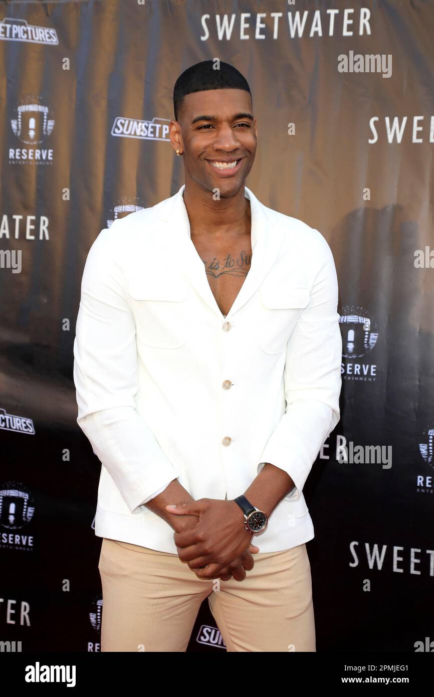 LOS ANGELES - APR 11: Joshua King Brooks at Sweetwater Premiere at the ...