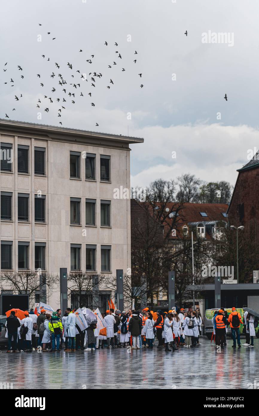 Fly strike hi-res stock photography and images - Alamy