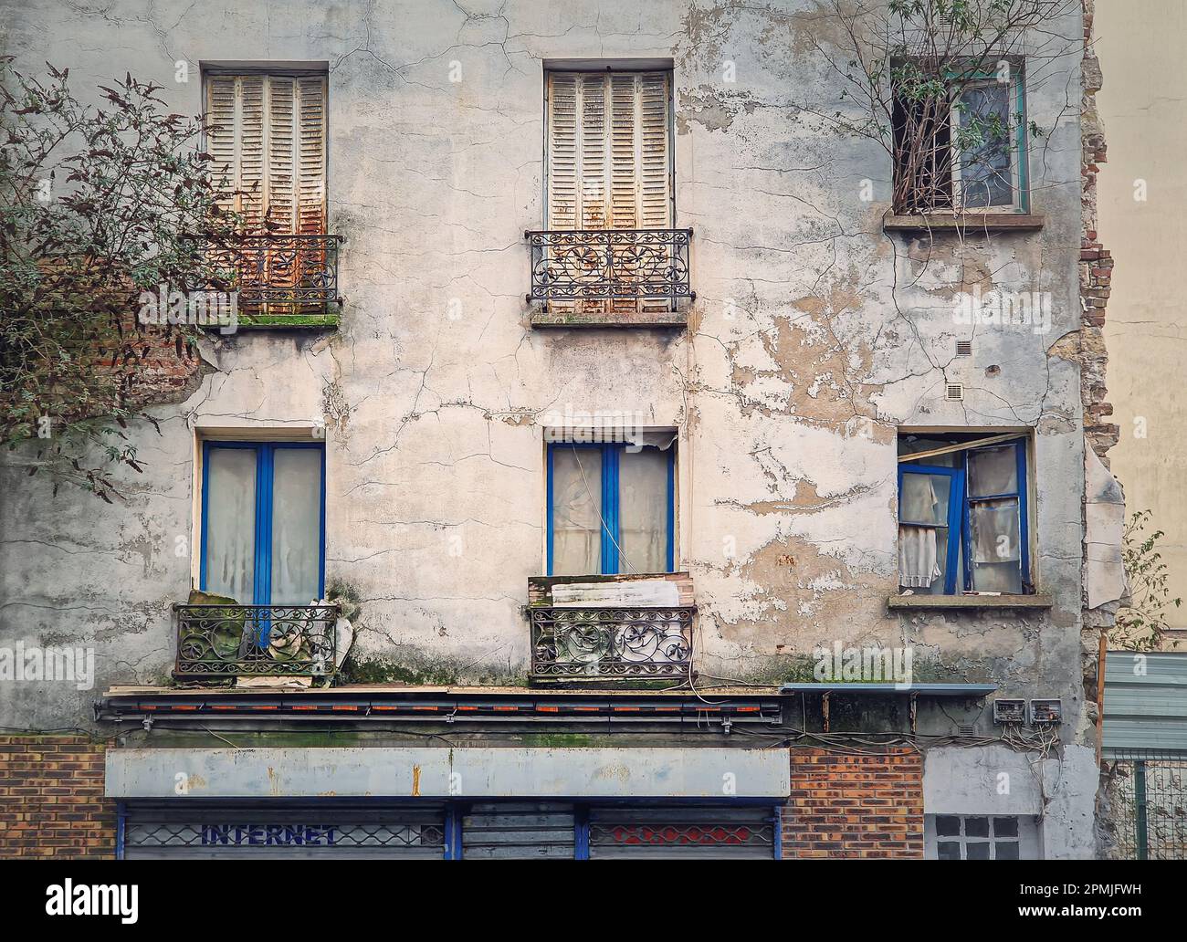 Abandoned building facade. Trees and bushes growing out of windows, rusted louvers and cracked ...