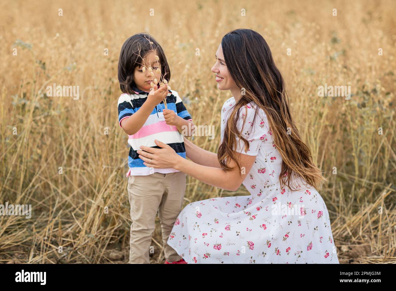 Mother and little handsome baby boy walking in the chickpeas field ...