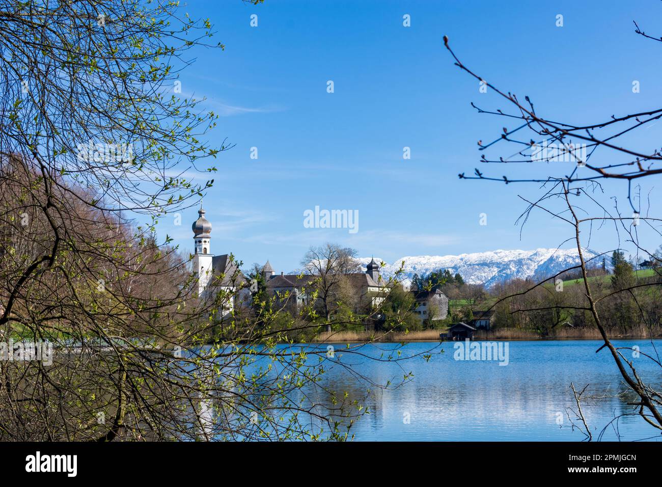 Anger: church St. Peter und Paul and former abbey Höglwörth, lake ...