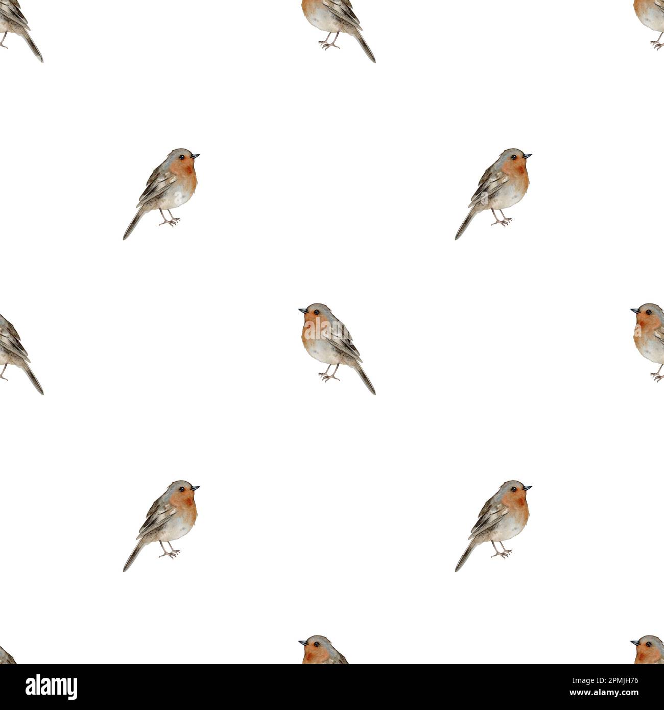 Seamless pattern with robin bird watercolor. Hand-drawn watercolor ...