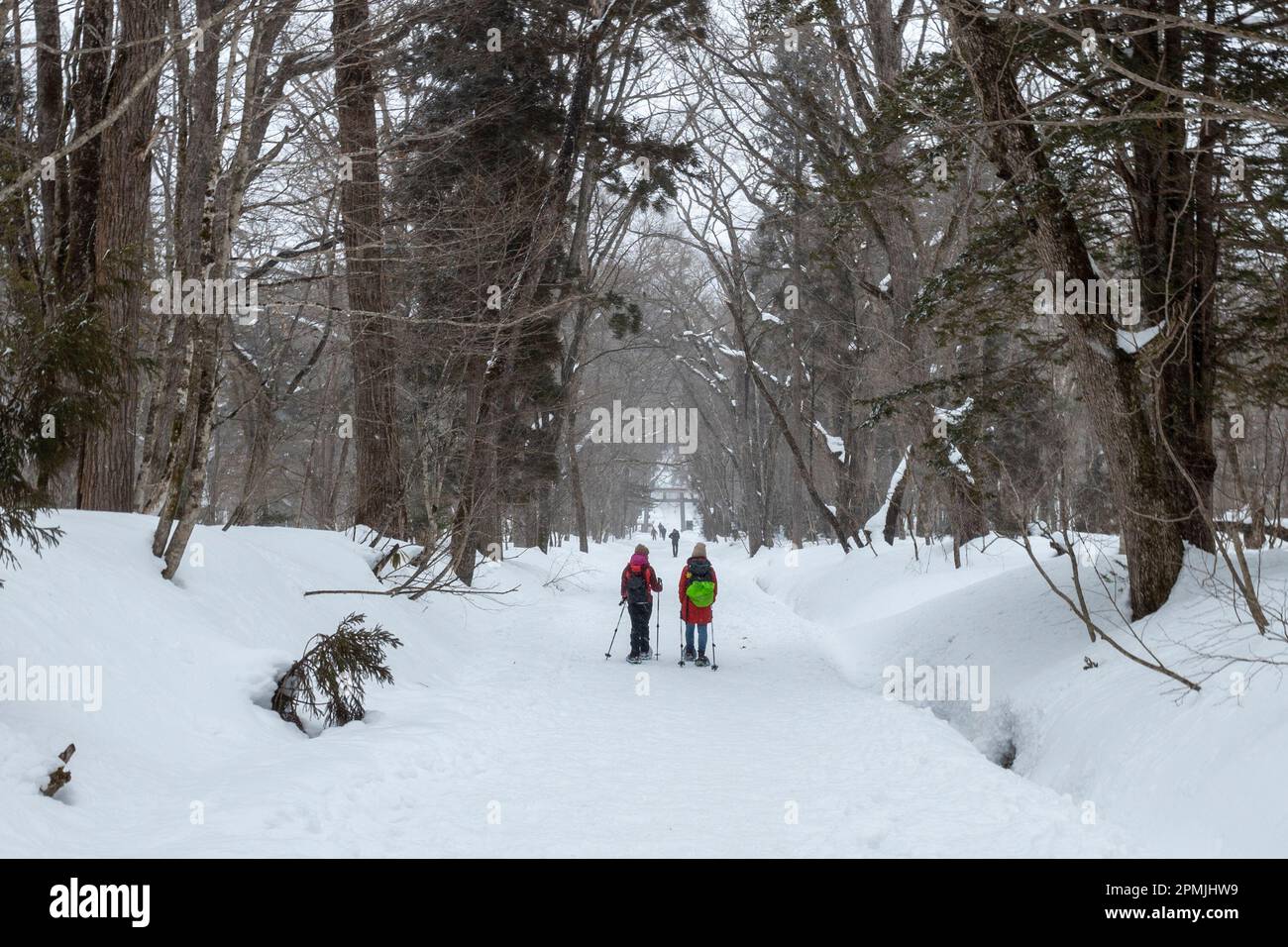 Togakushi, Nagano Prefecture, Japan. 13th Feb, 2023. Snow-covered ...