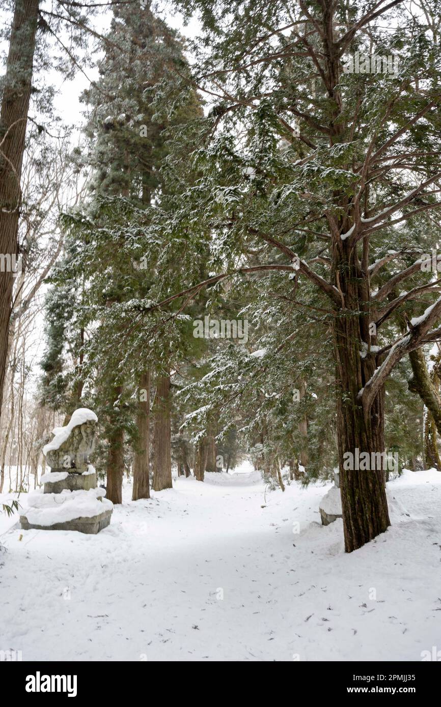 Togakushi, Nagano Prefecture, Japan. 13th Feb, 2023. Snow-covered ...